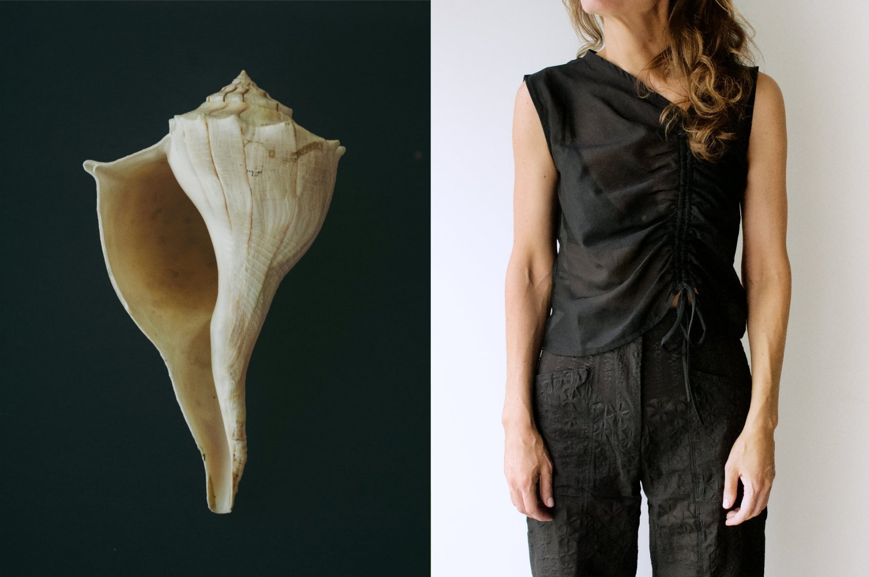 TROVE COLLECTION – Trove Collection